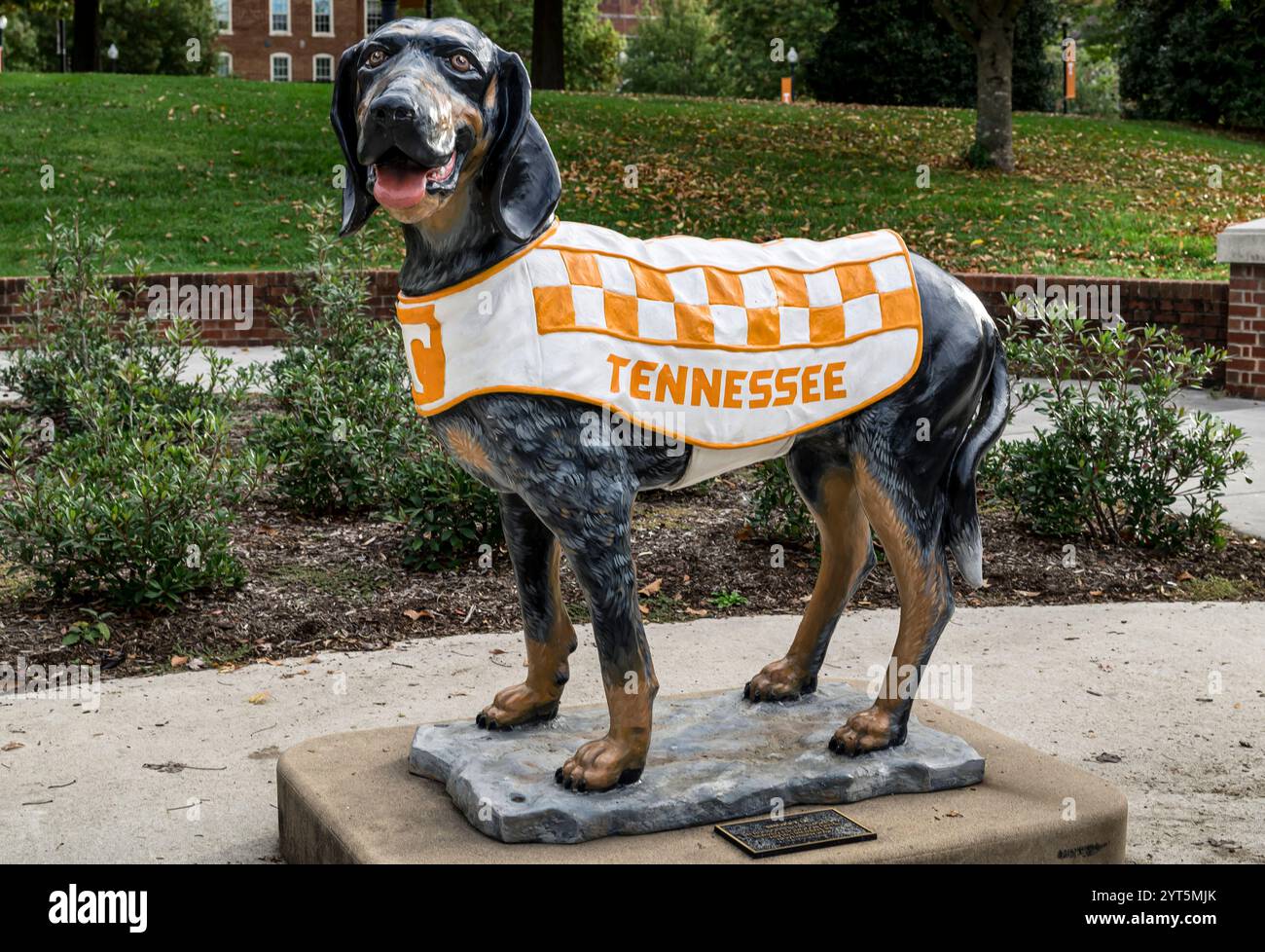 University Of Tennessee Dog Logo