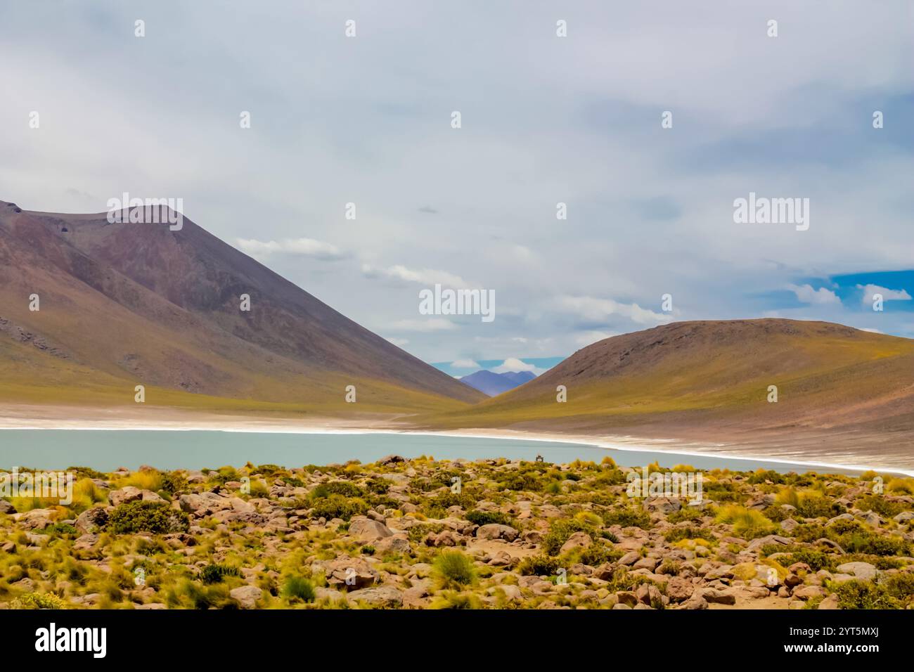 Lagunas Altiplanicas Miscanti y Minques lakes in Atacama desert in ...