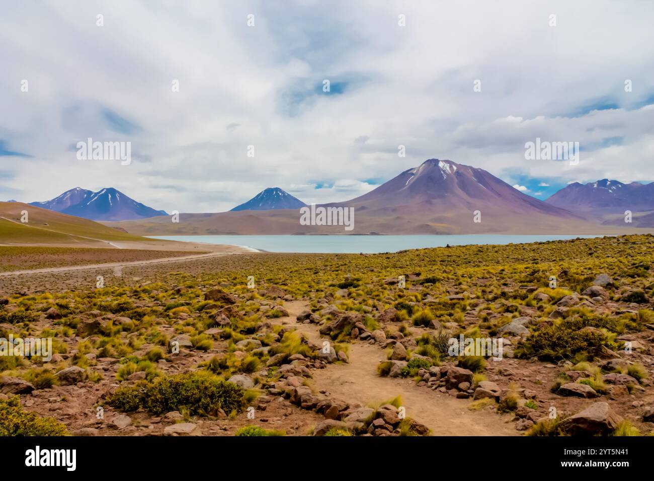 Lagunas Altiplanicas Miscanti y Minques lakes in Atacama desert in ...