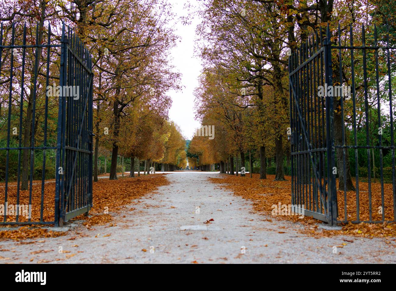 Lane with autumn trees and in front a black / grey entry gate Stock ...