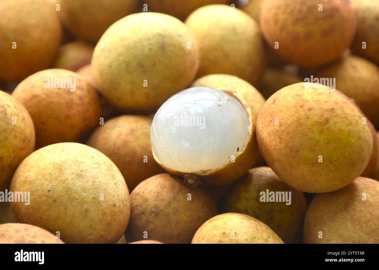 longan tropical fruit peeling out in batch background and texture Stock ...