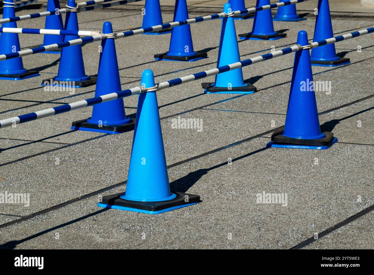 Ueno park in the Taito district of Tokyo Japan Stock Photo - Alamy