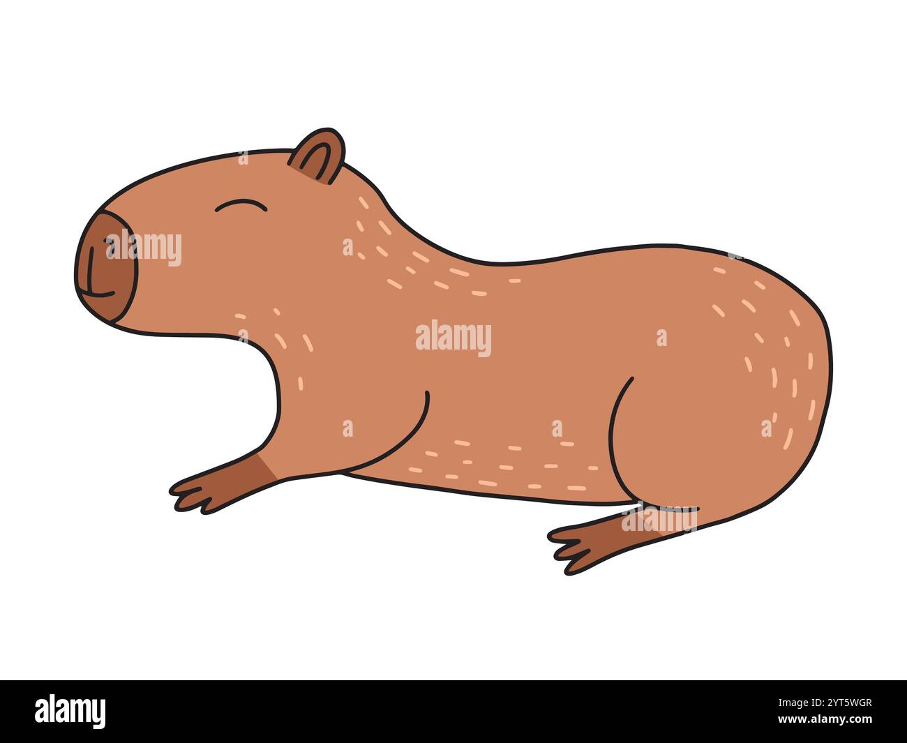Capybara lying vector flat illustration Stock Vector Image & Art - Alamy