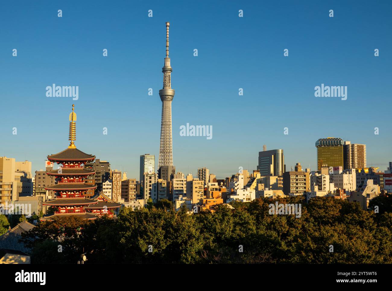 Five story pagoda and the Skytree tower in Asakusa neighborhood of Tokyo Japan Stock Photo - Alamy