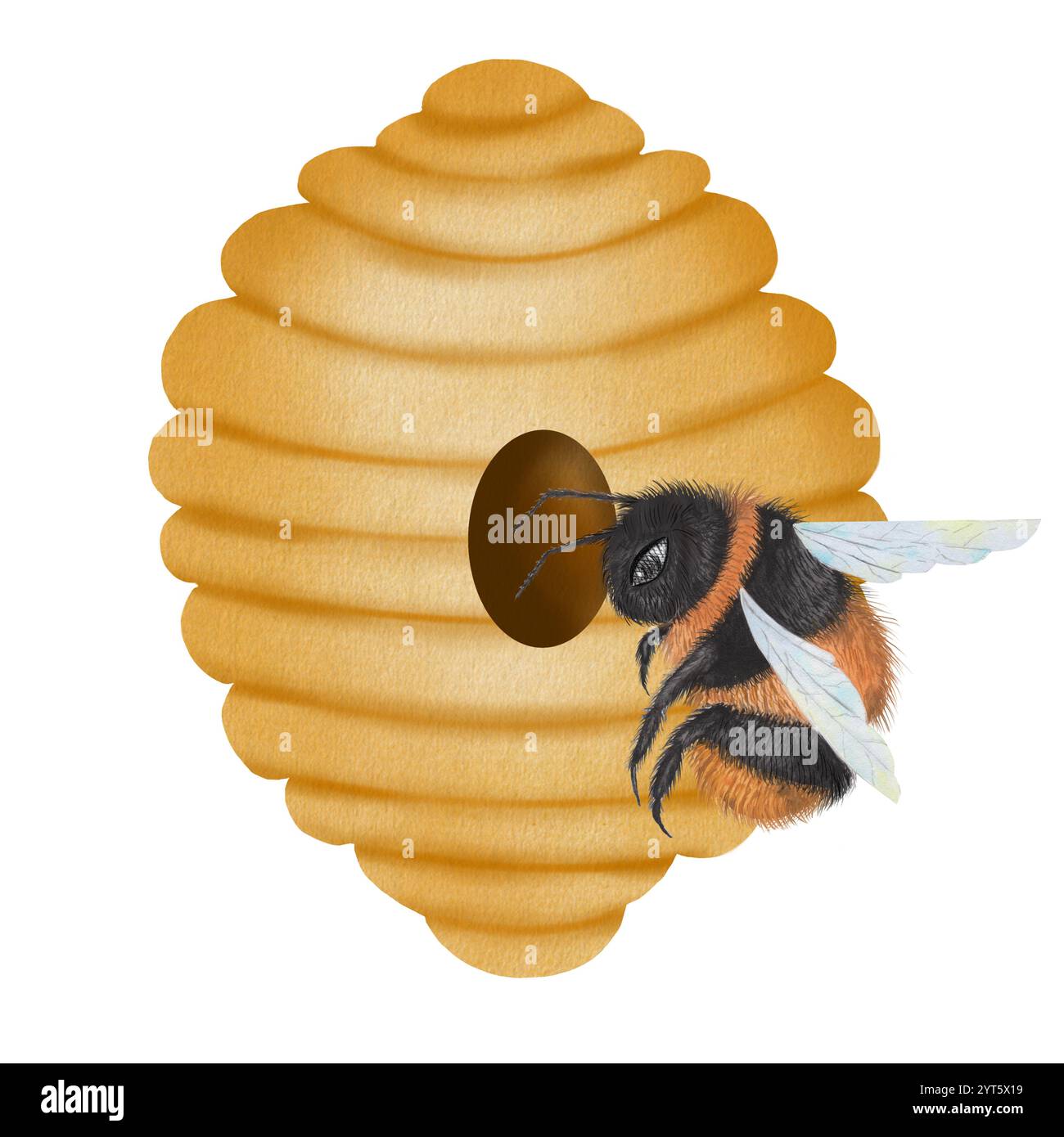 Beehive watercolor. Hand drawn bee house with bee on isolated white ...