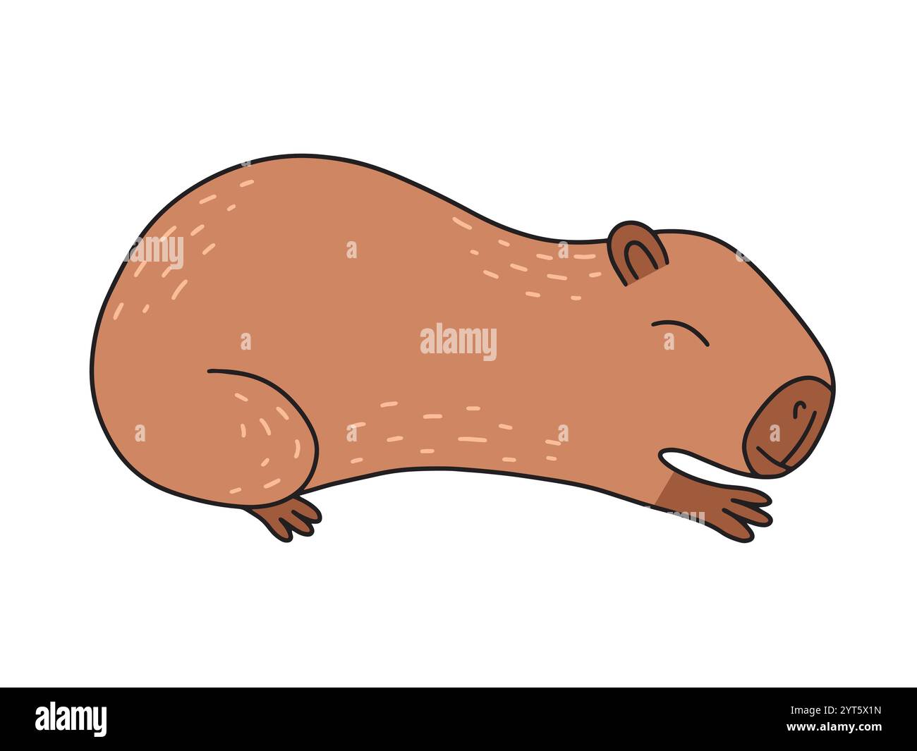 Capybara sleeping flat vector illustration Stock Vector Image & Art - Alamy