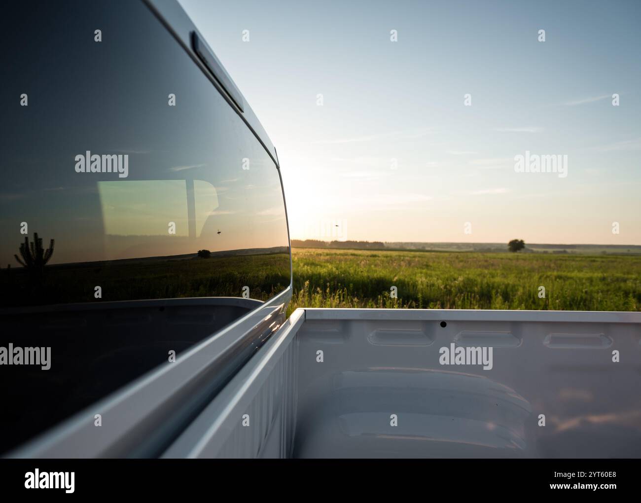 Pickup truck rear window. Looking at the green meadow in the background ...