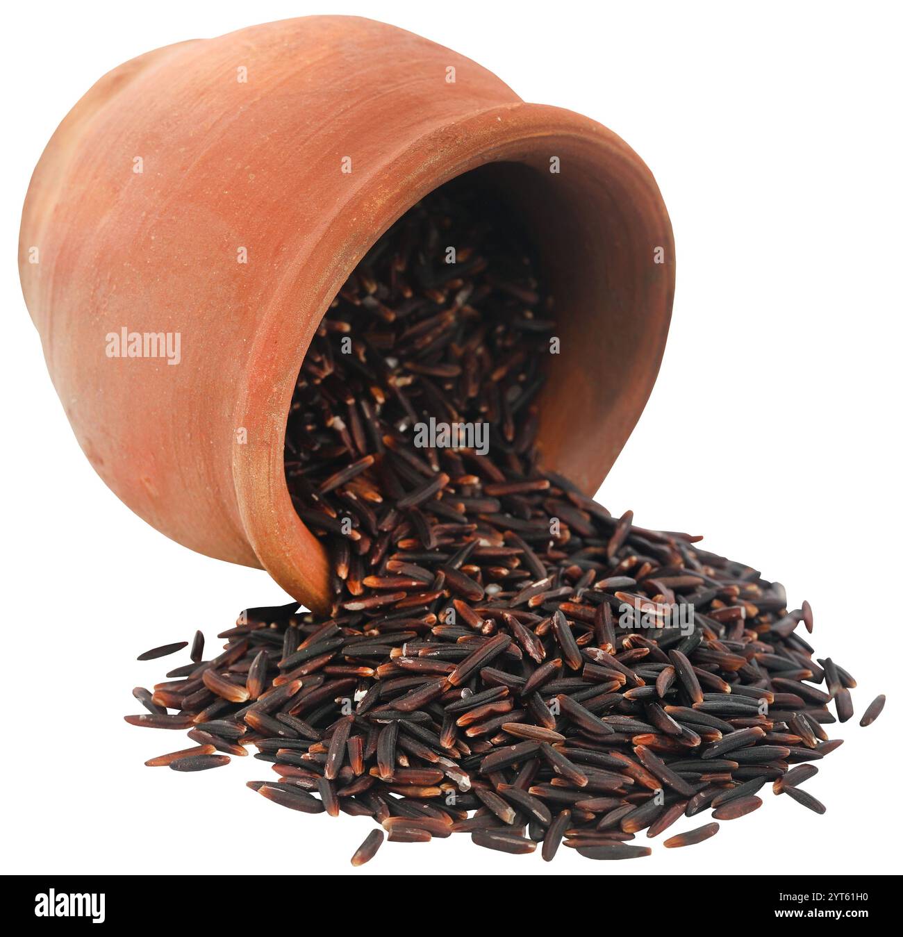 Black Jasmine rice having full of nutrition Stock Photo - Alamy