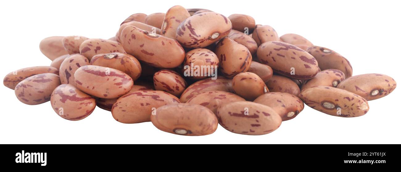 Pinto bean or speckled bean closeup and isolated Stock Photo - Alamy
