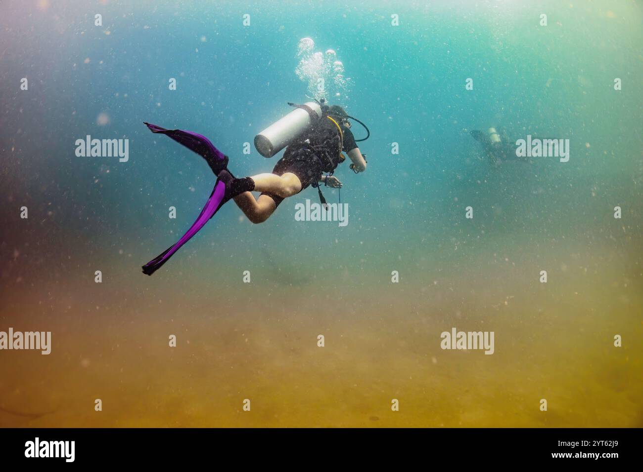 Scuba diver with purple fins and an oxygen tank explores the murky ...