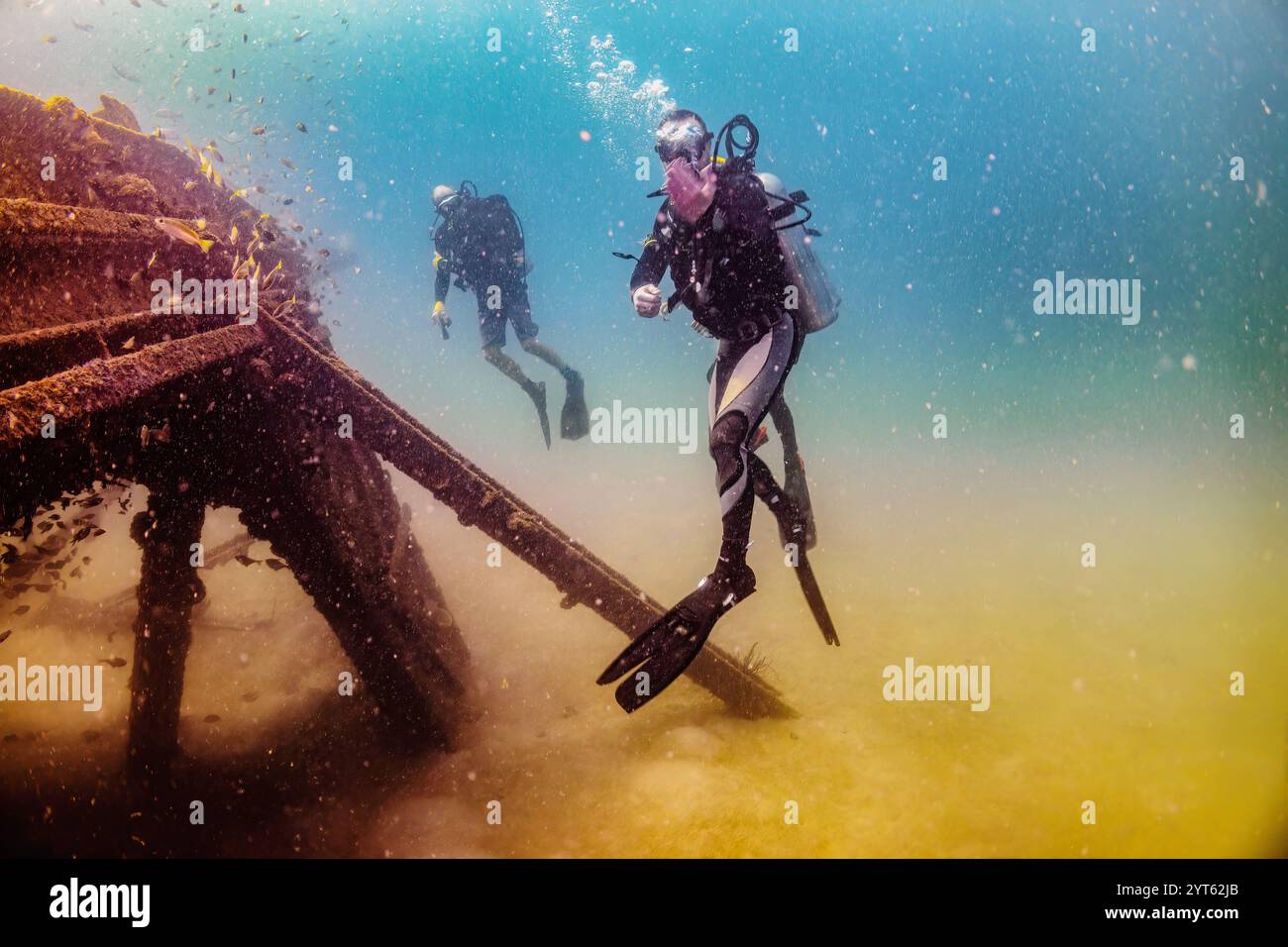 Two scuba divers are exploring the remains of a wooden shipwreck lying ...