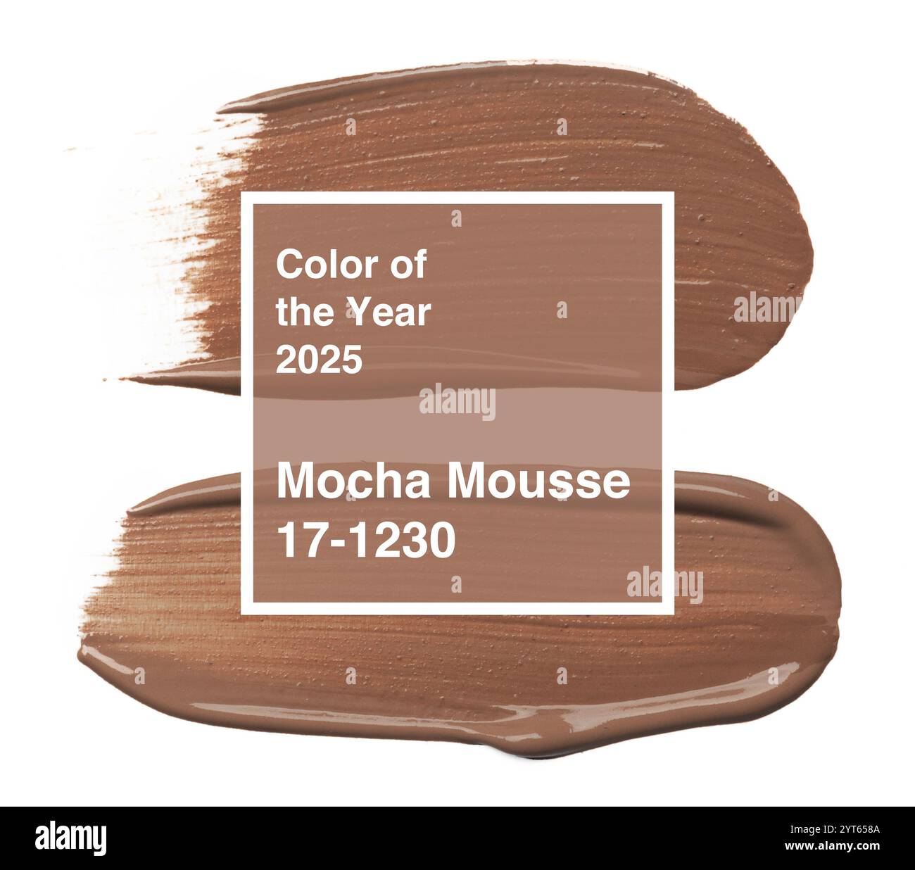 Mocha Mousse 2025 Color of the Year sample displayed with rich brown ...