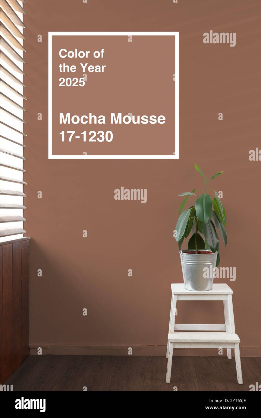 Mocha Mousse showcased as the color of the year 2025 in a modern ...