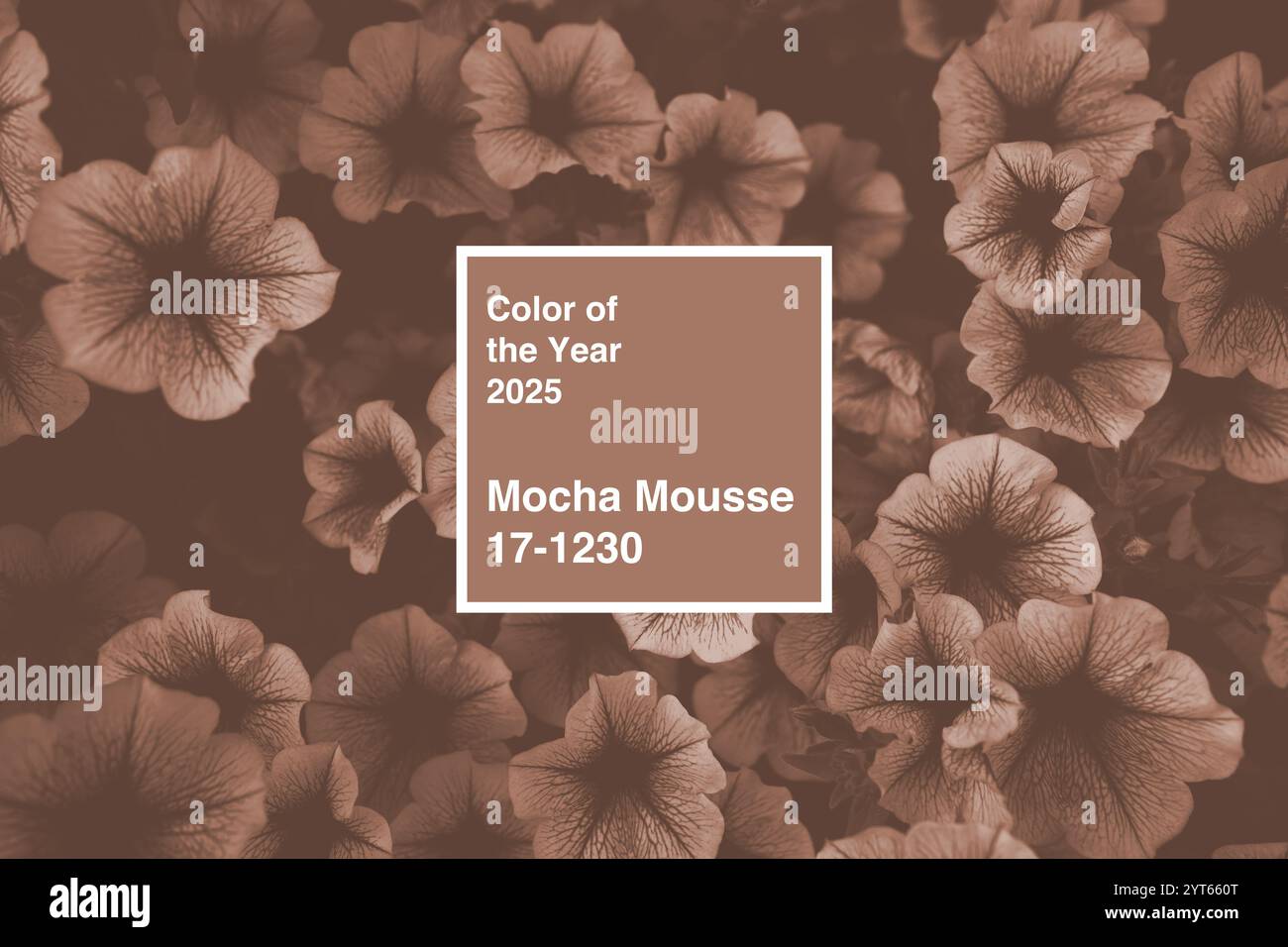 Mocha Mousse color of the year 2025 displayed among floral patterns for ...