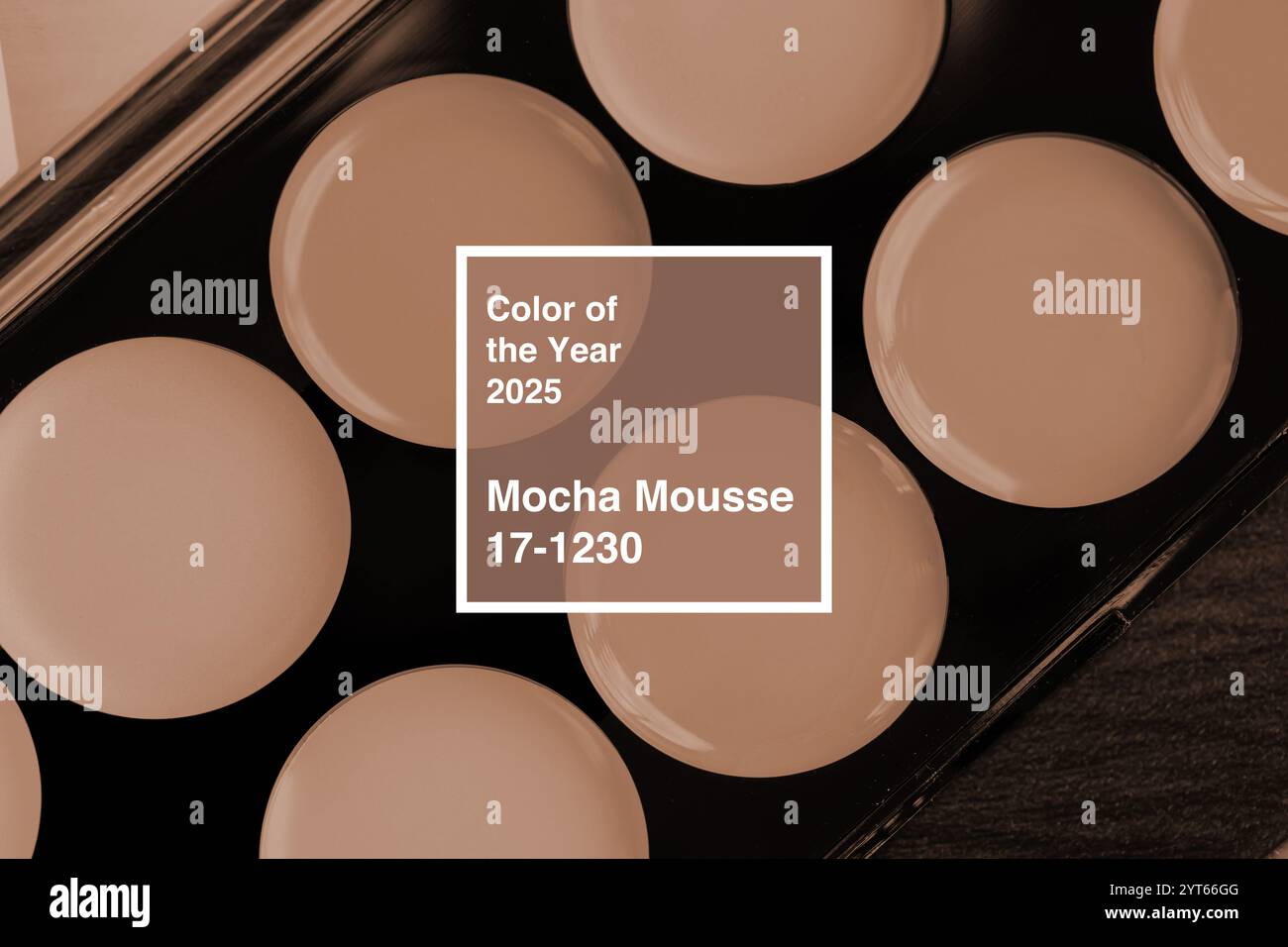 Mocha Mousse color palette representing 2025 trend in interior design and fashion Stock Photo ...