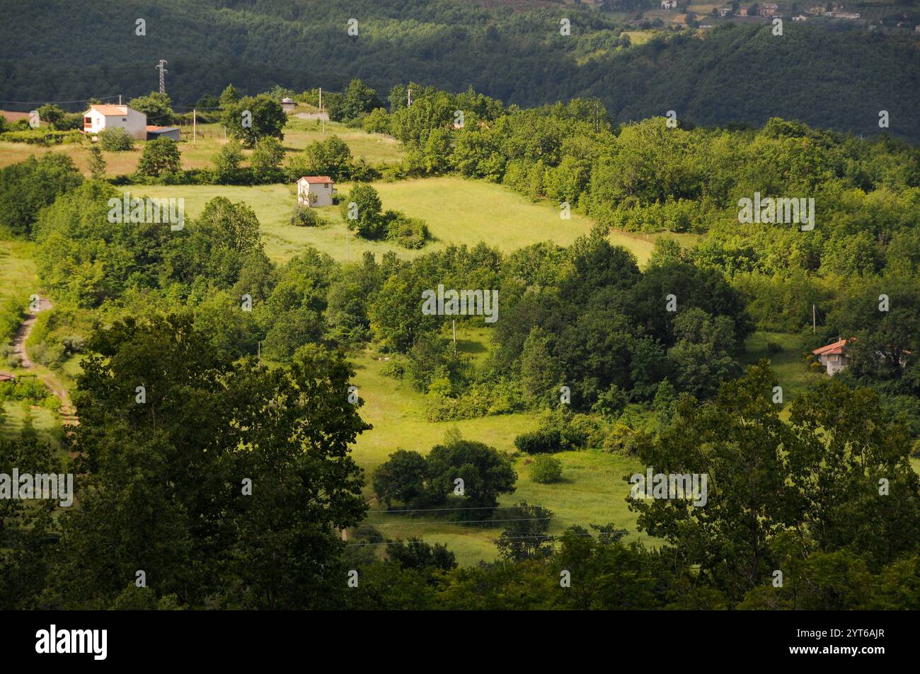Typical landscape of southern Italy of Lucania in Basilicata Stock ...