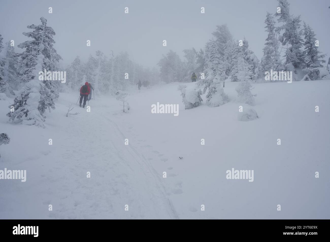 People are going uphill, hiking in extreme weather conditions. Snow ...