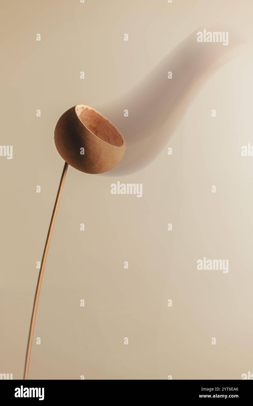 Minimalist composition featuring a dried flower on a stem, with ...