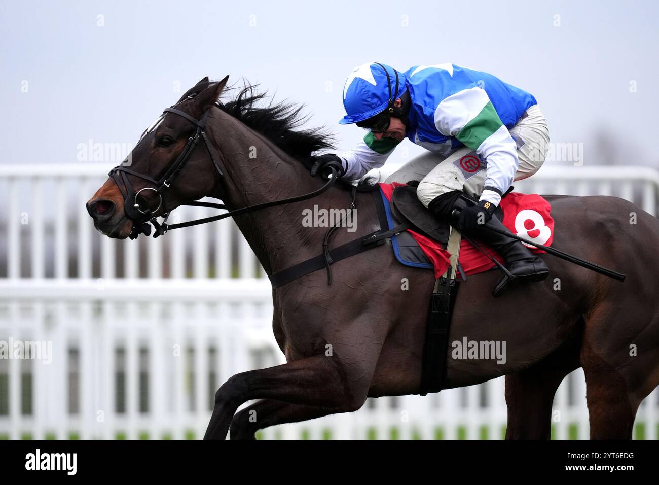 Joe holy smoke horse hi-res stock photography and images - Alamy