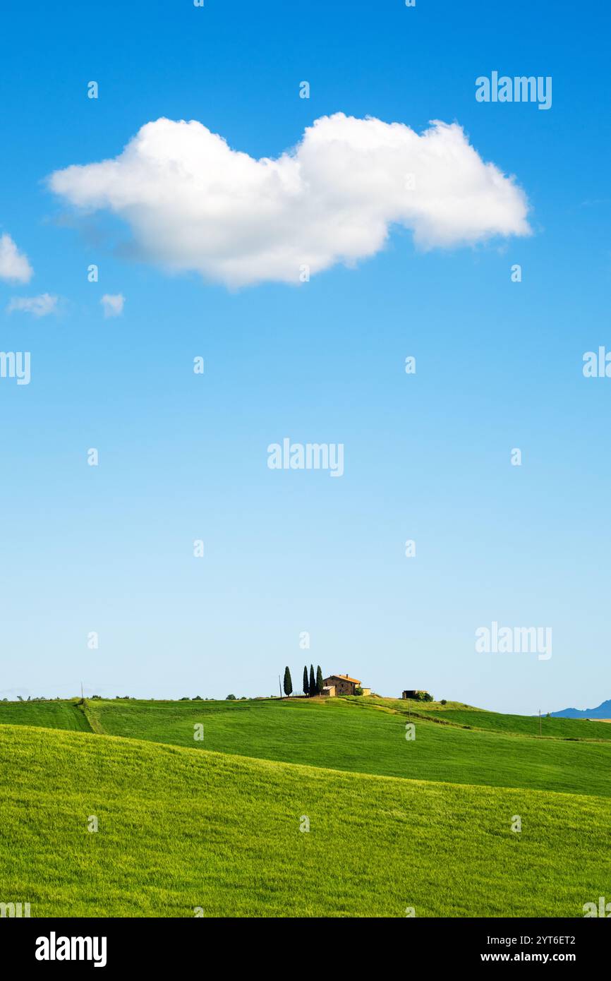 Tuscan farmhouse and cypress trees in Val d'Orcia, Tuscany, Italy Stock ...