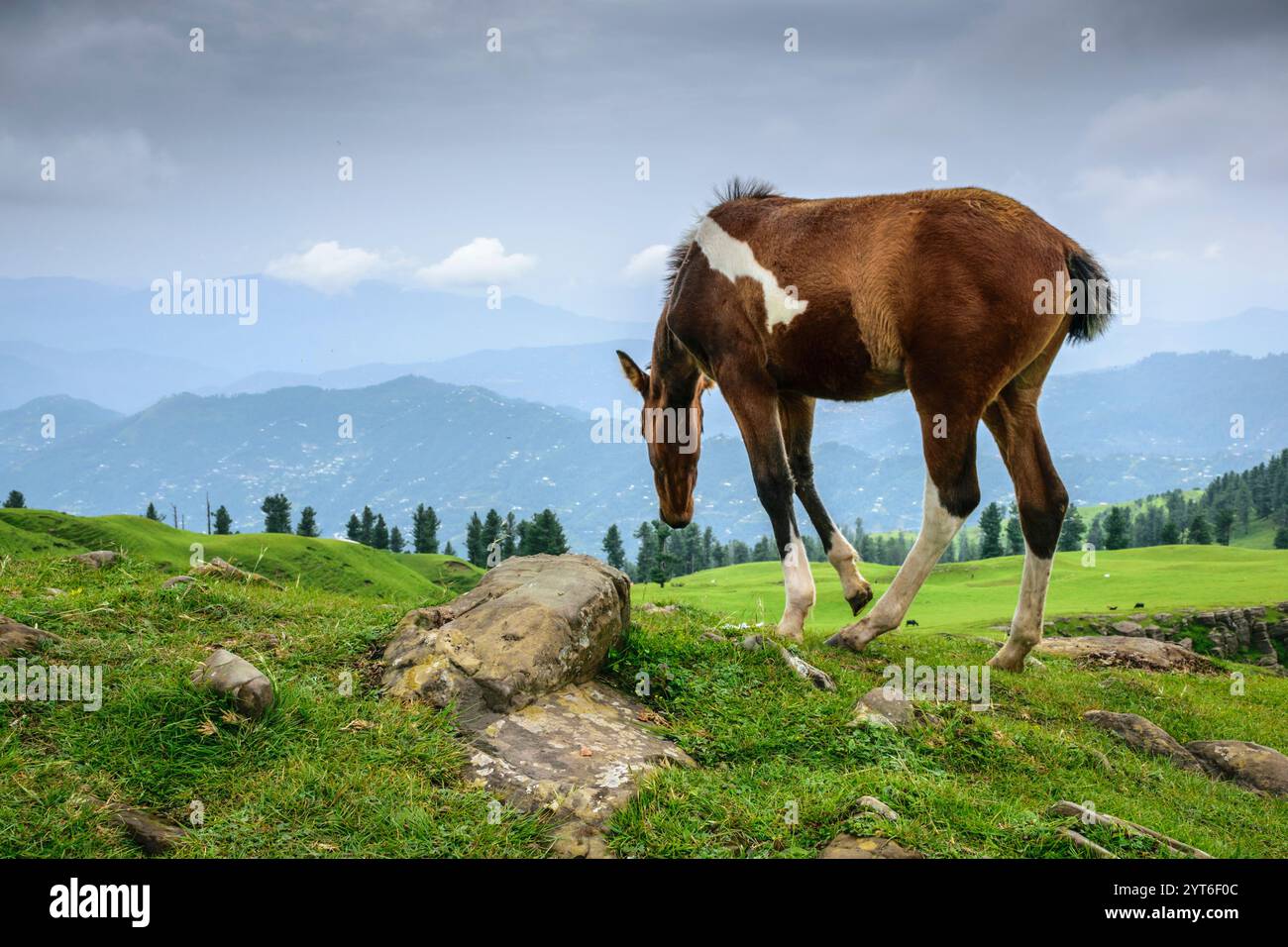 Ganga choti hi-res stock photography and images - Alamy