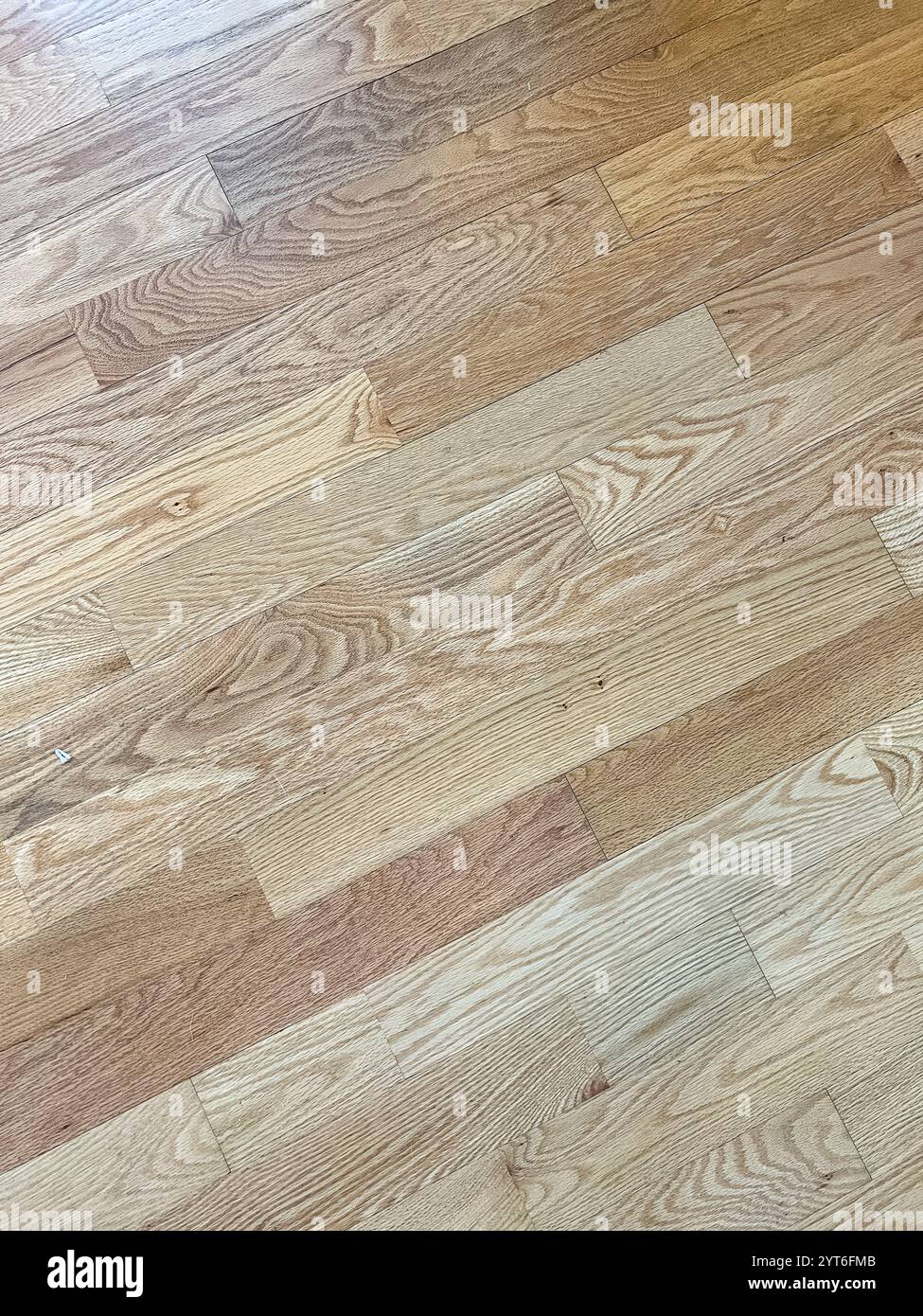 Natural Hardwood Flooring with Authentic Grain Stock Photo - Alamy