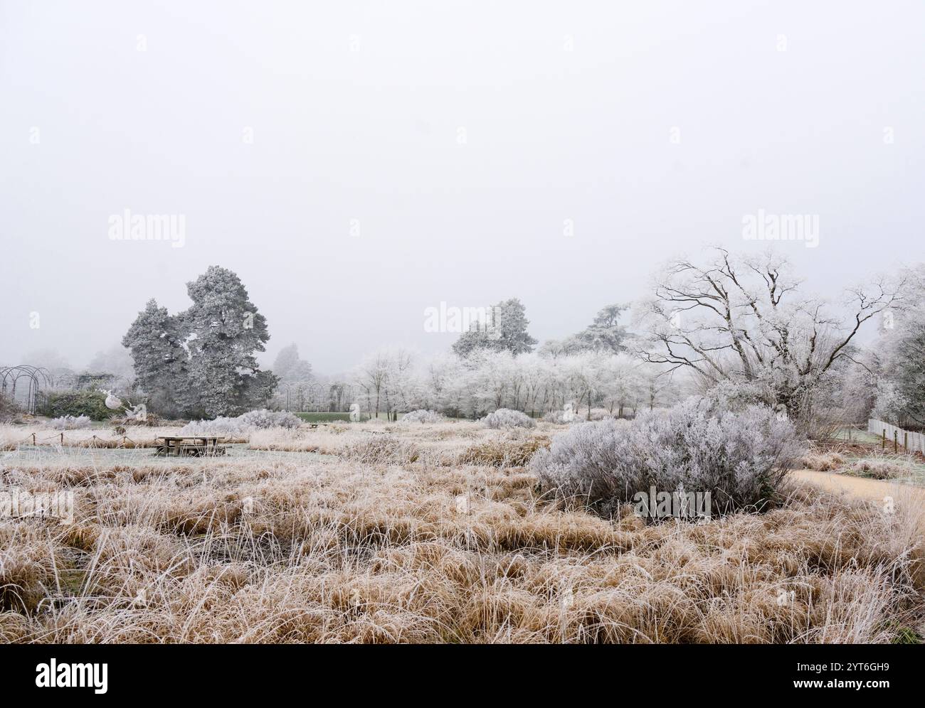 Frosty landscape in Staffordshire parkland England UK Stock Photo - Alamy