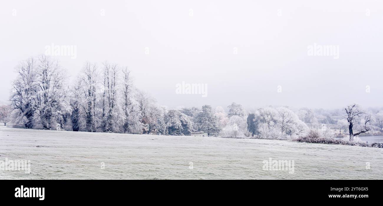 Frost covered trees in open parkland Staffordshire England UK Stock ...
