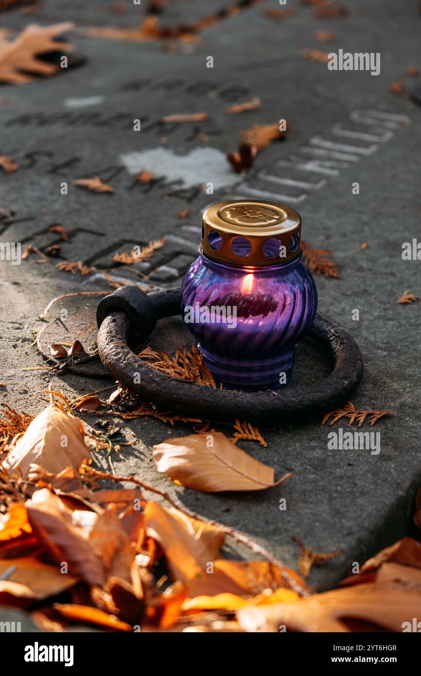 Purple remembrance candle on a grave surrounded by autumn leaves, symbolizing seasonal ...
