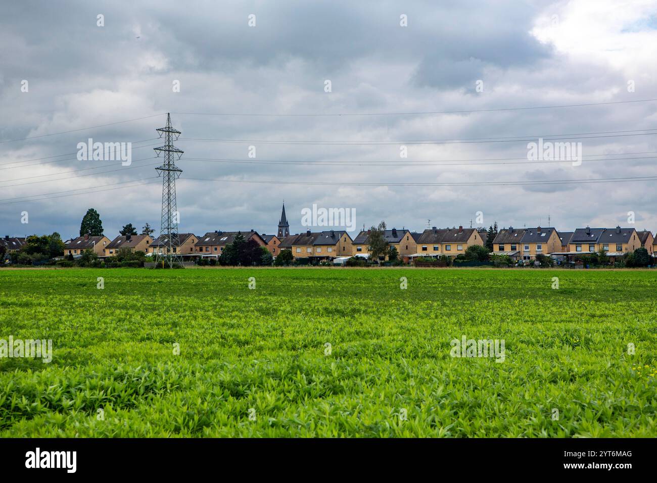 Blick auf Einfamilienhäuser in Erftstadt-Friesheim Rhein-Erft-Kreis NRW ...