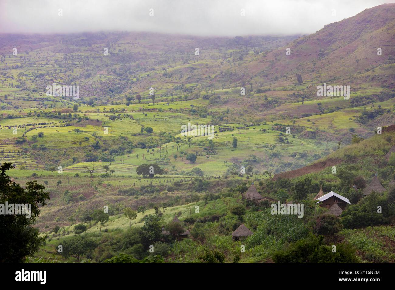 Farm fields in the lush mountains near Konso, Ethiopia with grass huts ...