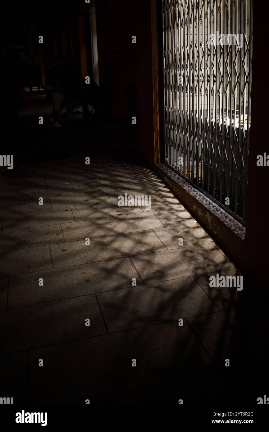Shadows cast on the ground from a gate illuminated by soft lighting at ...