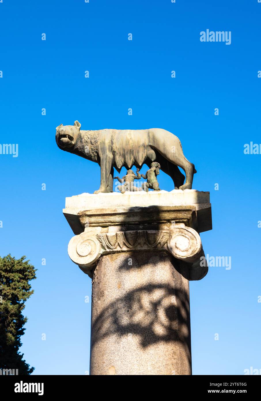 Statue of Capitoline Wolf (Lupa Capitolina) feeding Romulus and Remus ...