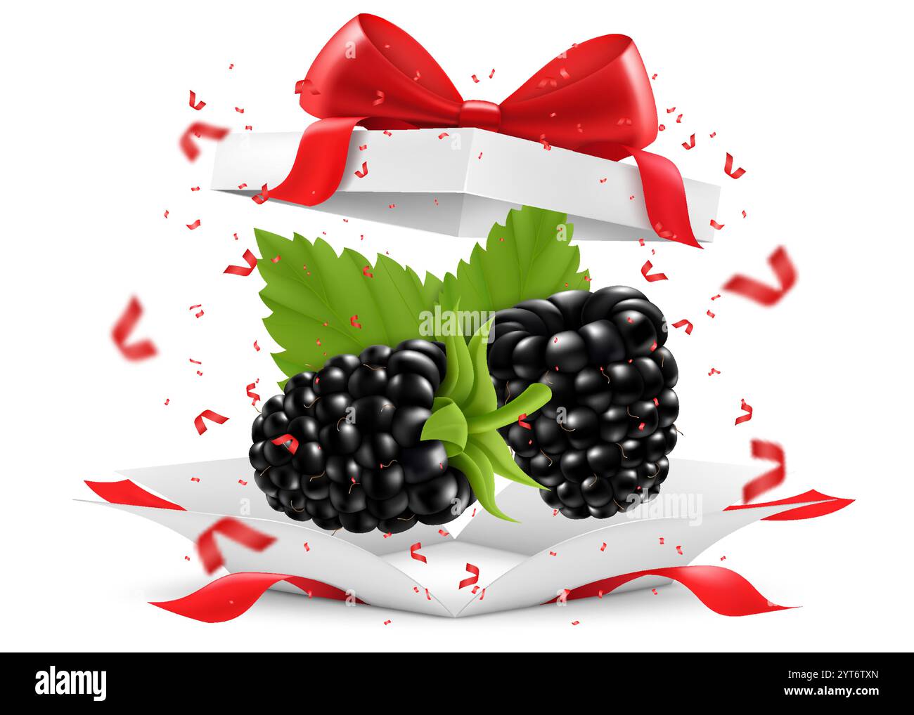 Fresh juicy blackberry in open gift box with a red bow isolated on ...