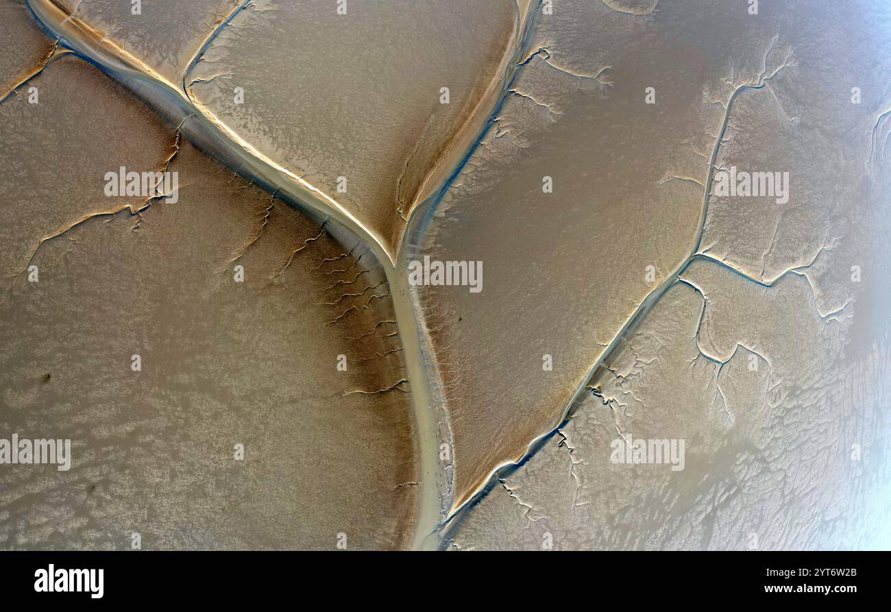 Aerial view of the tidal channels showing a fractal like structure, The ...