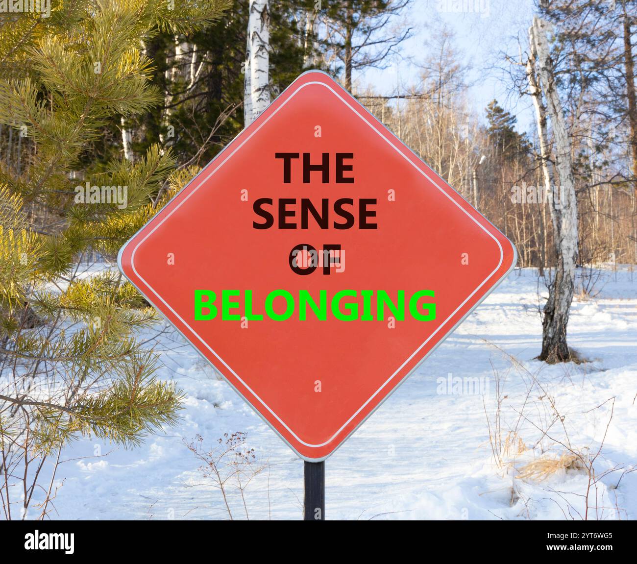The sense of belonging symbol. Concept words The sense of belonging on ...