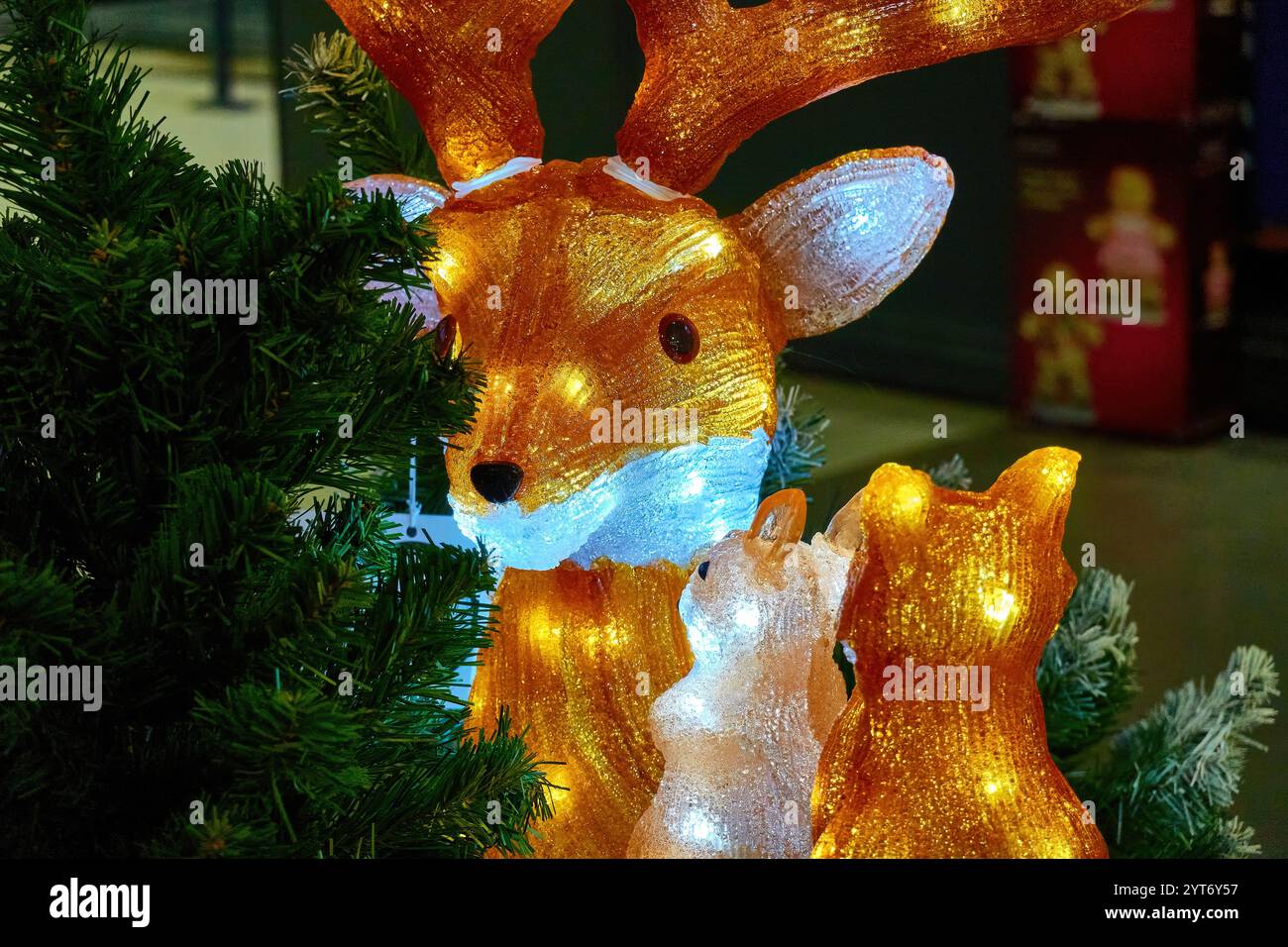 Christmas trees and decorations with festive window displays Stock ...