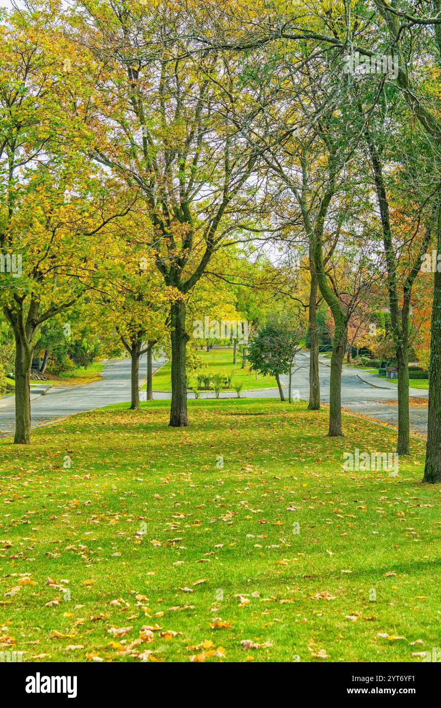 Panel points hi-res stock photography and images - Alamy