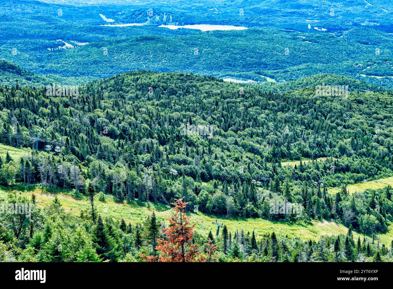 Mountain Greenery - views Stock Photo - Alamy