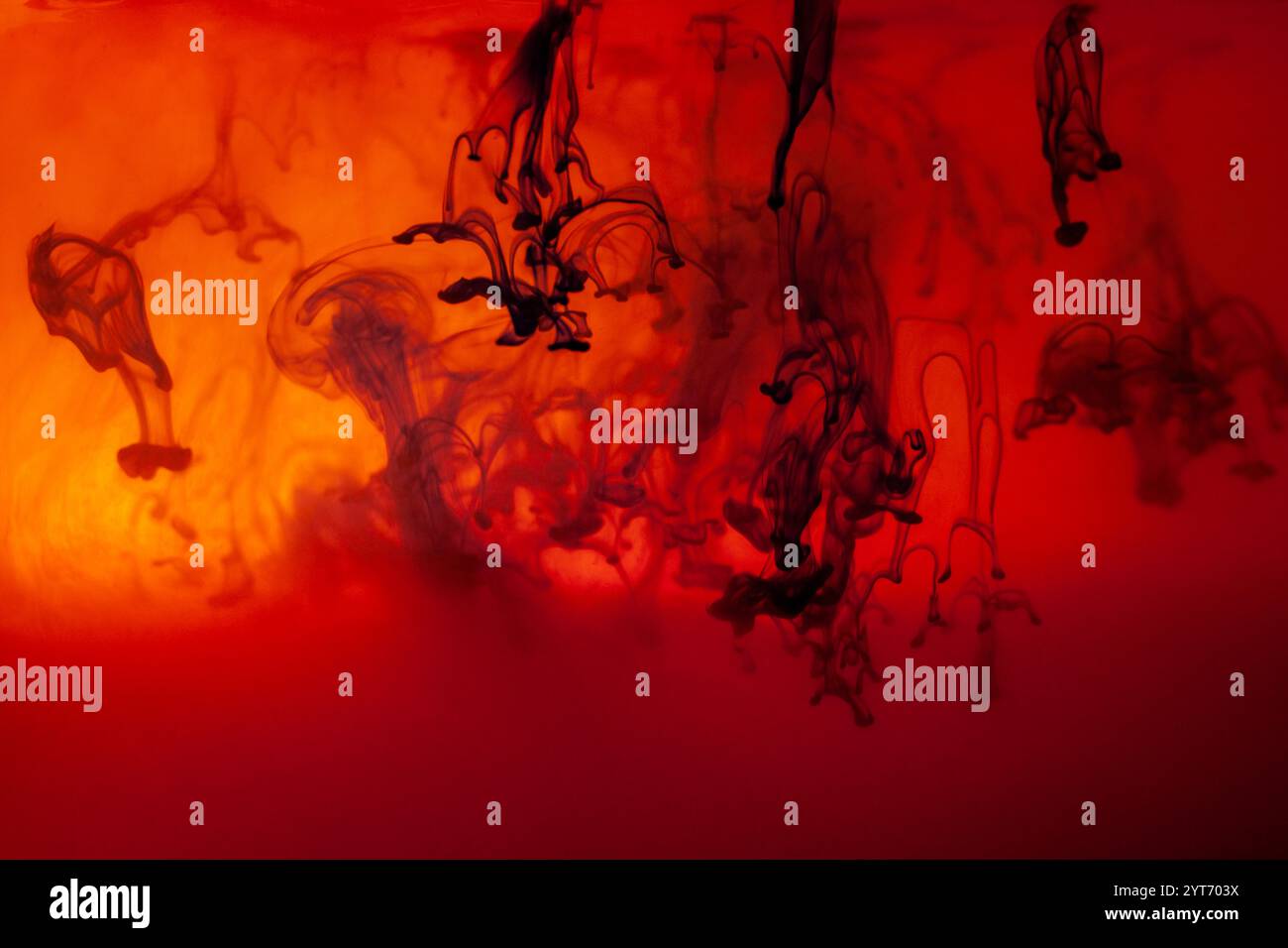 Black Ink Swirling Through Red Paint Water, Forming a Dynamic and ...