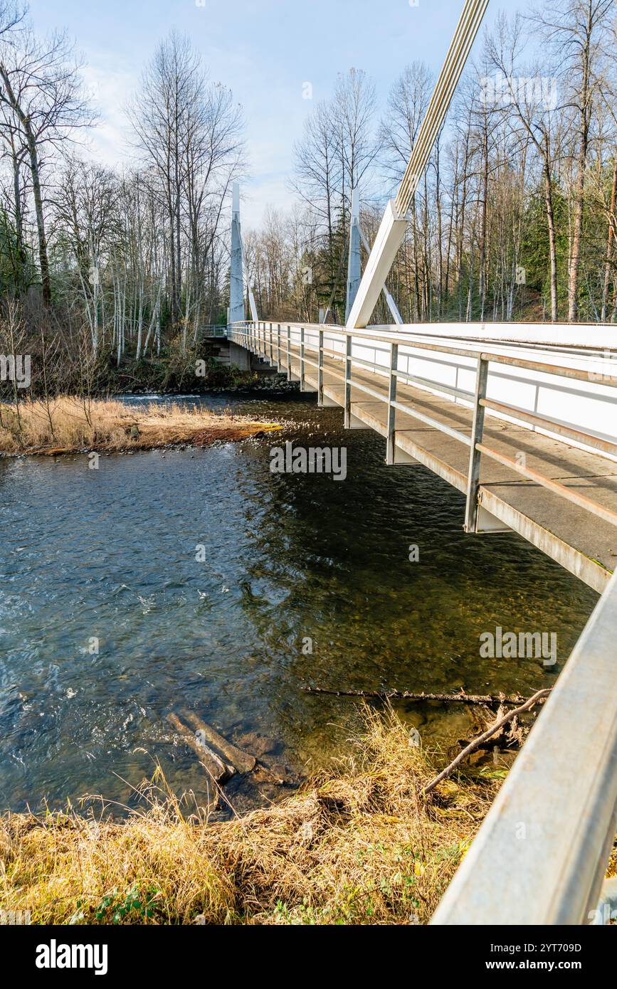 On the brdige at Falming Geyser State Park in Washington State Stock ...