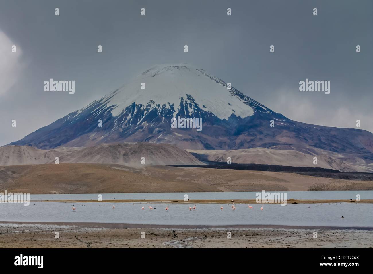 Parinacota volcano in Chile and Bolivia border. Volcanic cone summit ...