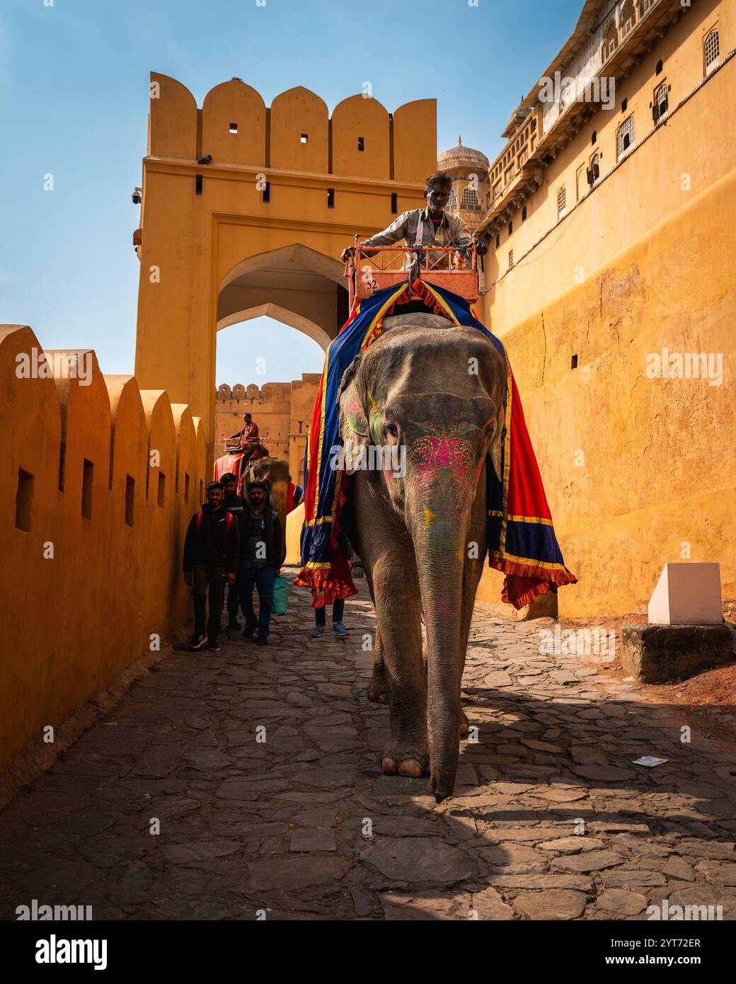 India rajasthan elephant wall painting hi-res stock photography and ...