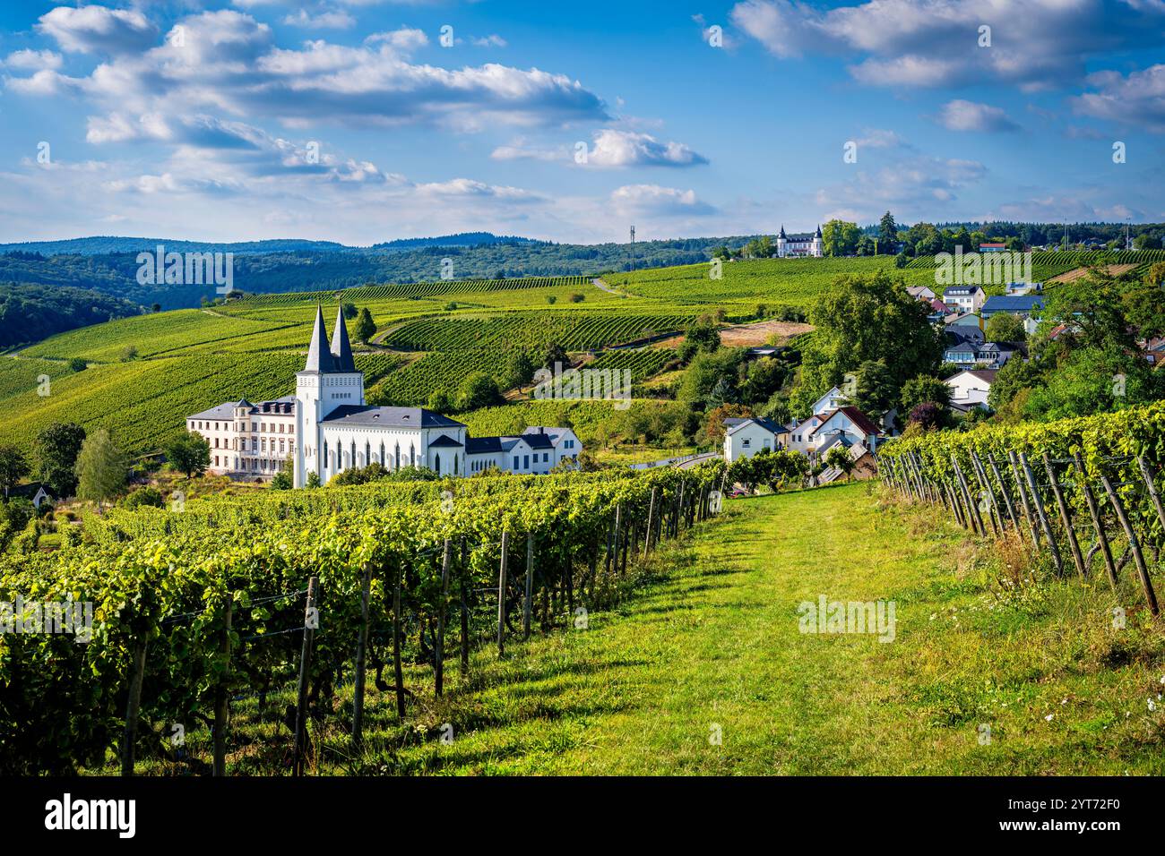 Johannisberg Monastery in the Elsterbach Valley (Rheingau), surrounded ...