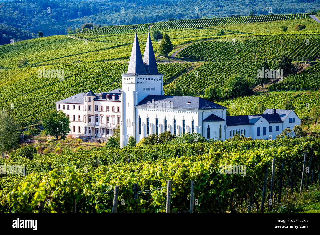 Johannisberg Monastery in the Elsterbach Valley (Rheingau), surrounded ...