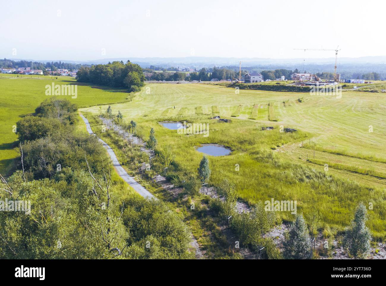 View from above of a compensation area with a species-rich meadow ...