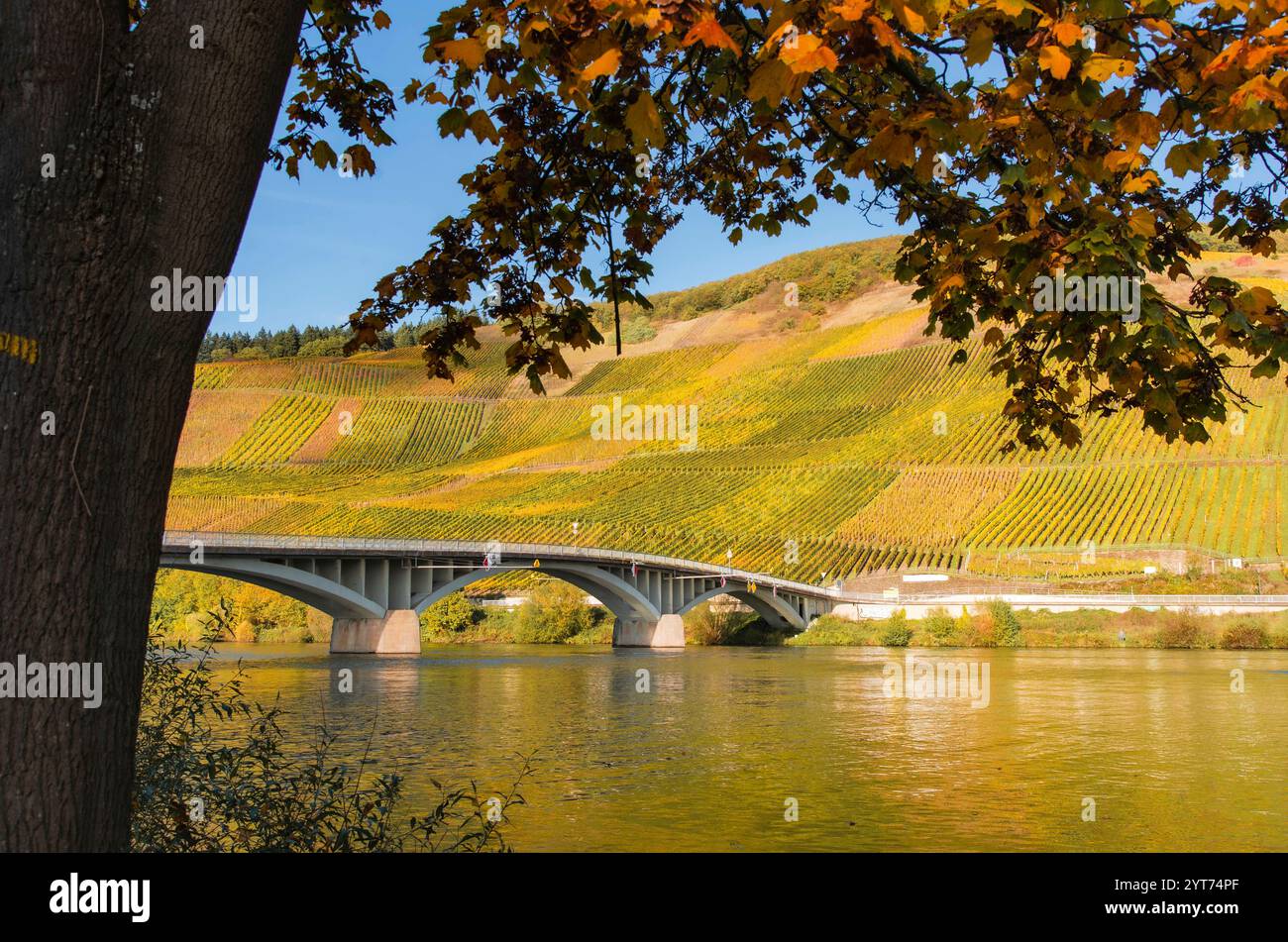 Moselle landscape with bridge between Riol and Longuich on the Moselle ...