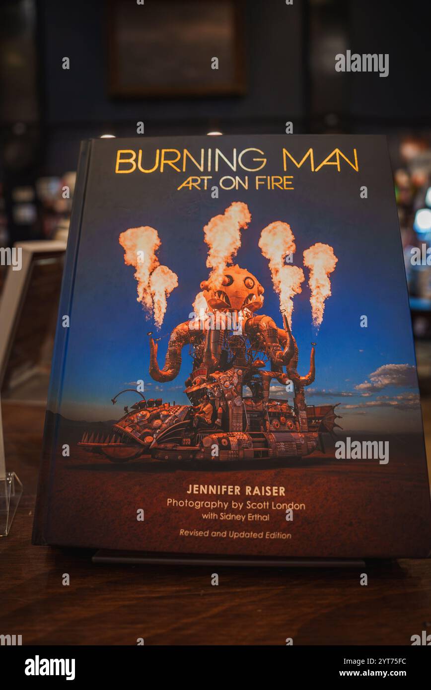 Book Cover of Burning Man Art on Fire Displayed in Bookstore Stock ...