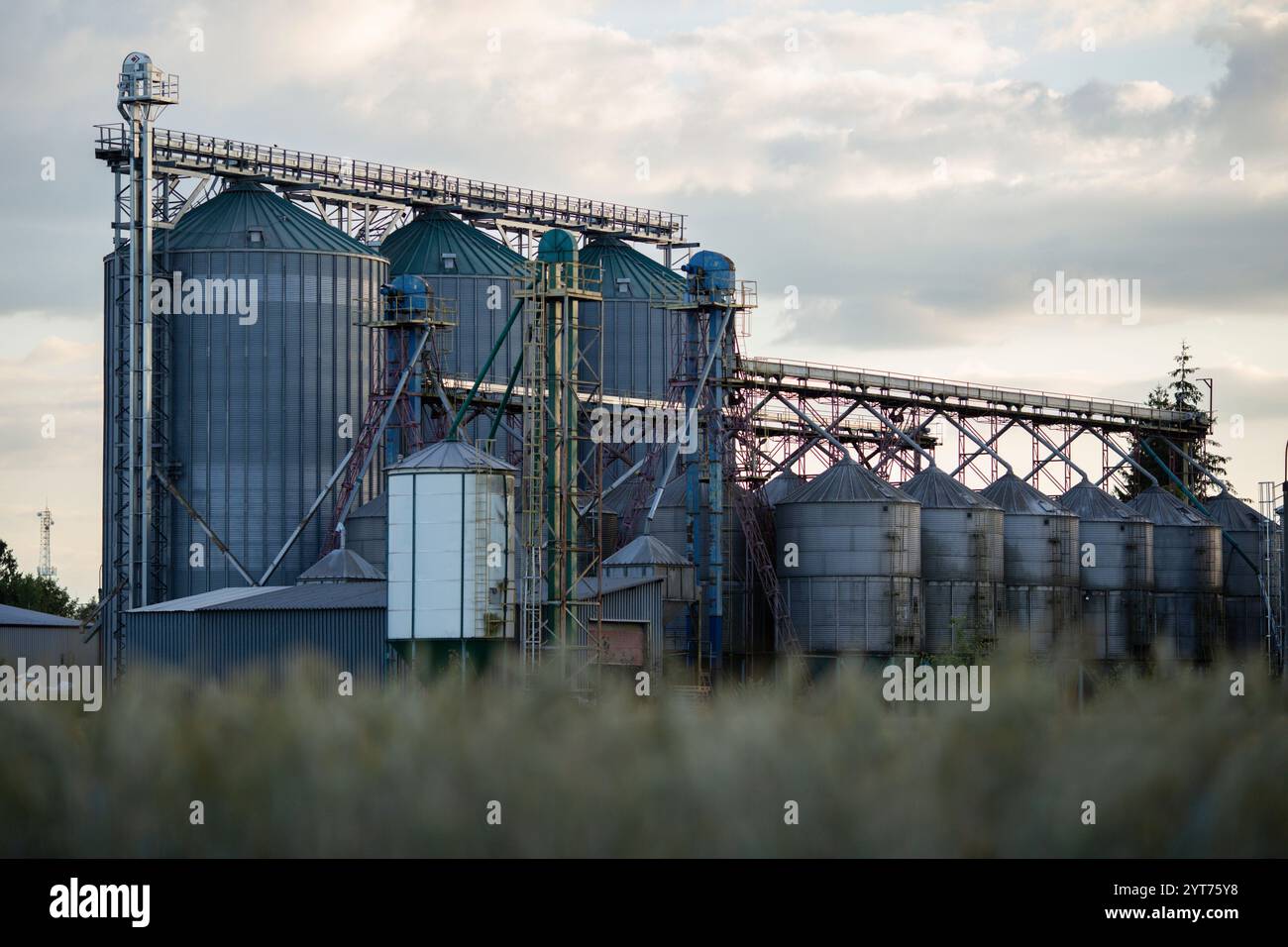 Wheat silos and magazines for grain storage Stock Photo - Alamy