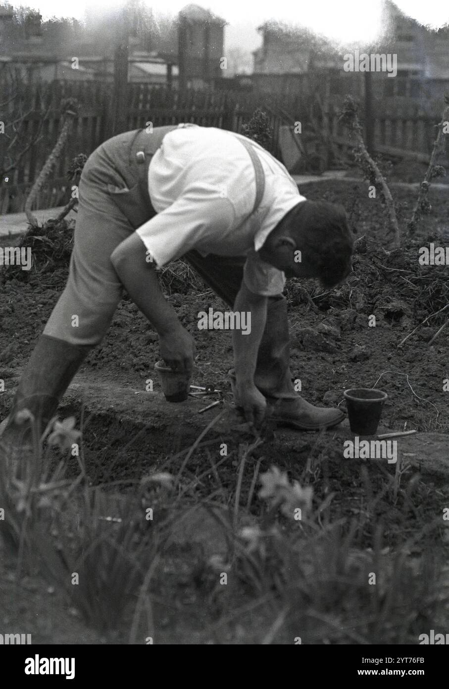 1930s, historical, man gardending, bending down, planting seeds Stock ...